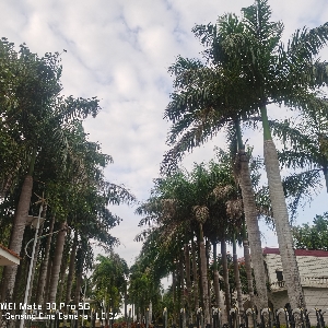 明德商学院 