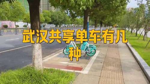 武汉共享单车全揭秘:除了小黄小蓝,这些隐藏款你骑过吗?