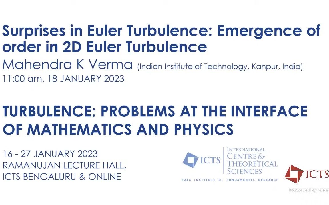 Surprises in Euler Turbulence_ Emergence of Order in 2D Euler ...