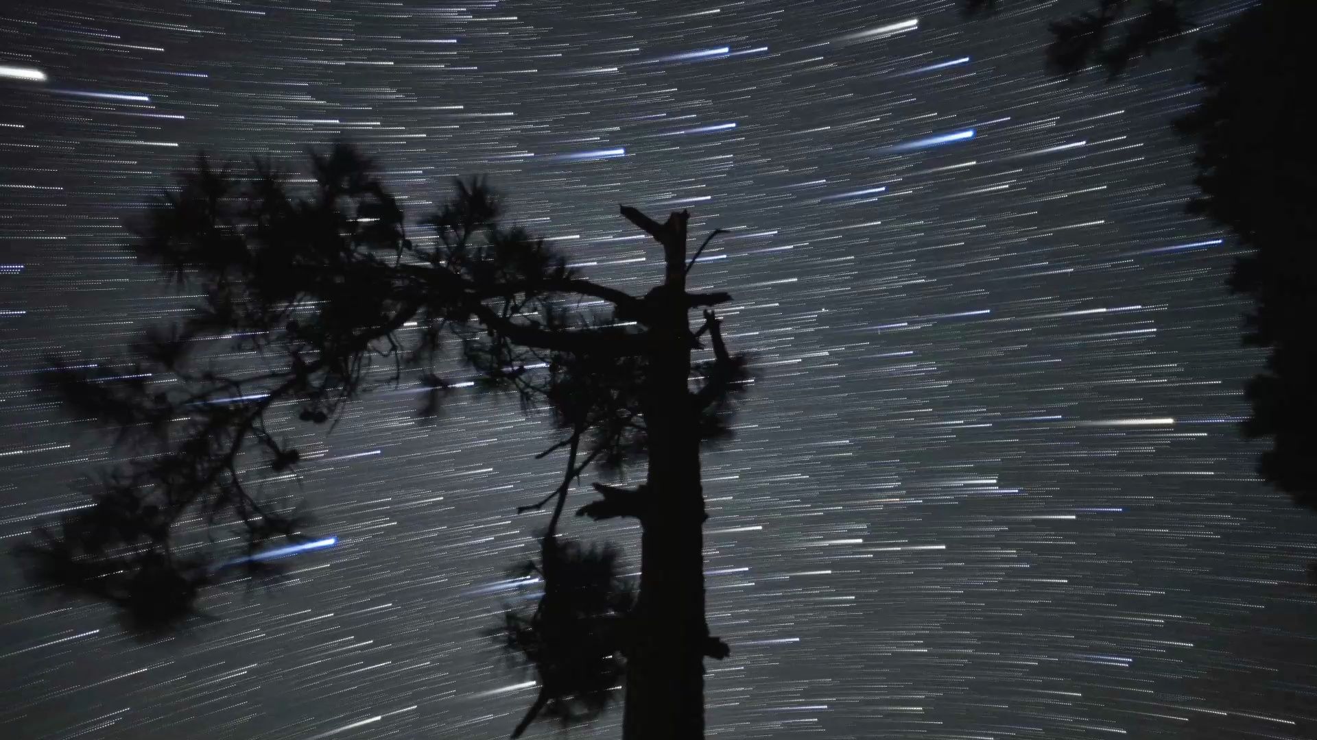 星轨延时视频制作教学 | PR星轨制作教程