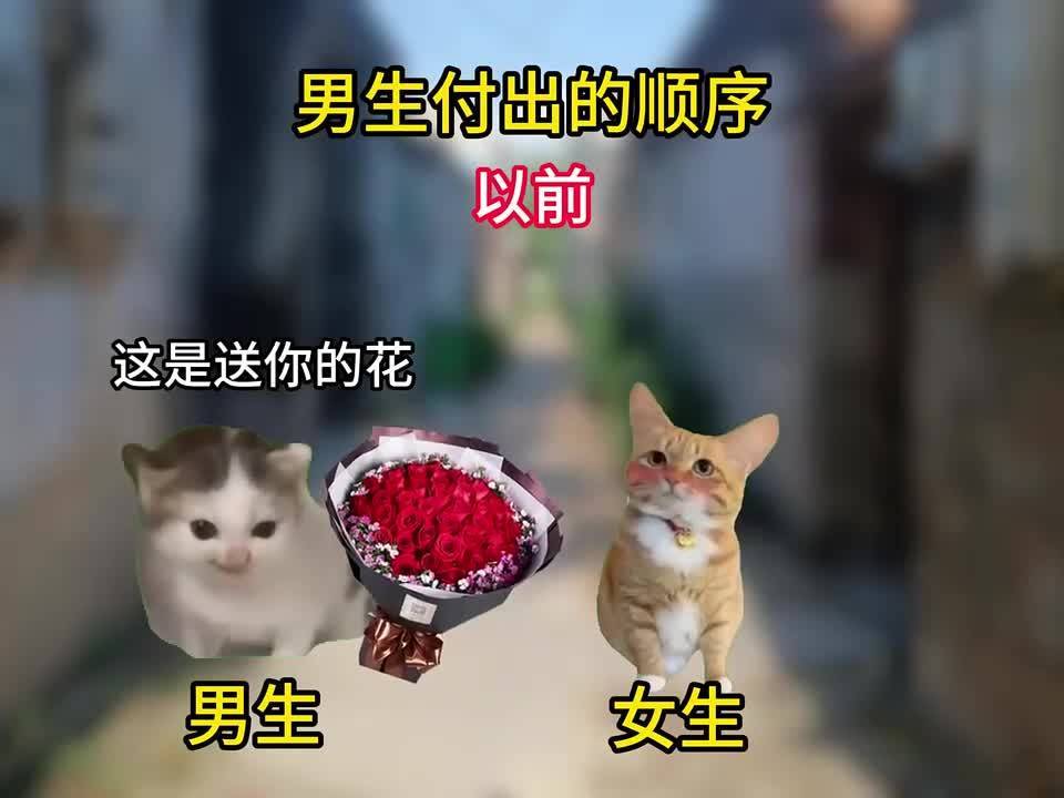 动物:男生付出的顺序