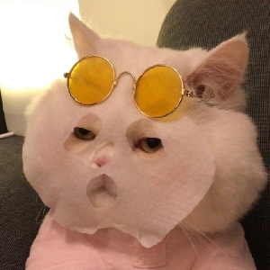 CV大玞 