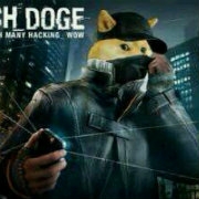 aidenDOGE 
