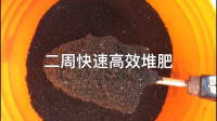 在家里利用厨余堆肥太臭?教你一个小方法,两周快速堆肥还不臭