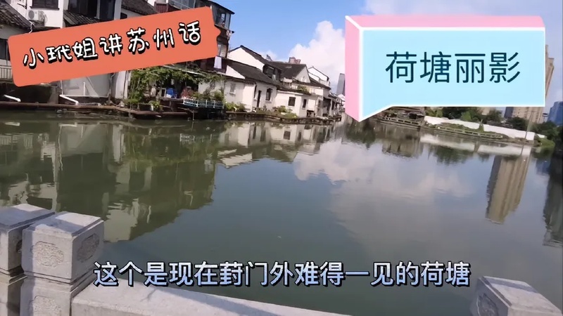 小玳姐吃泡泡小馄饨,探访鸡头米种植专业户居住地,群星苑小区!