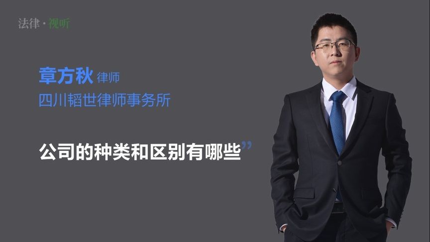 公司的种类和区别有哪些