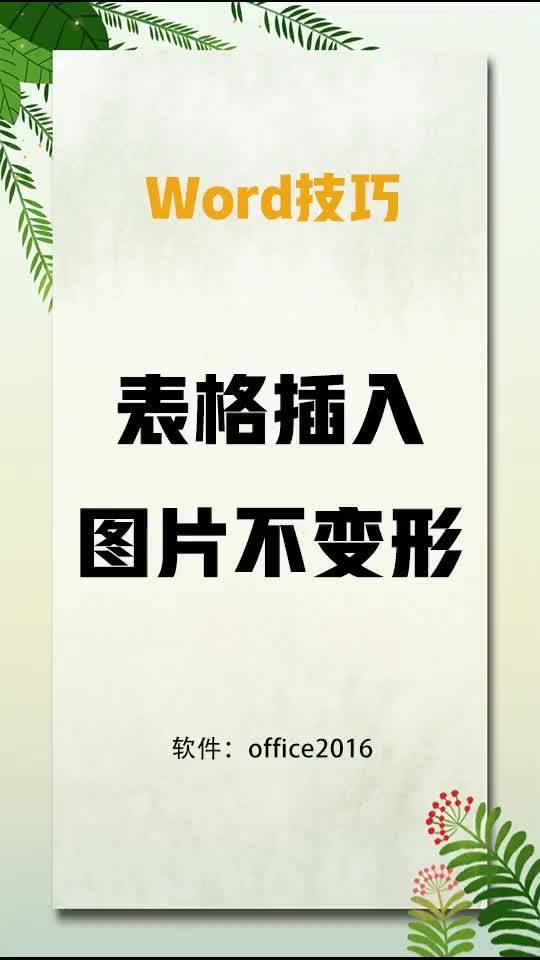 教你在word的表格里插入图片不变形!上班族经常遇到的
