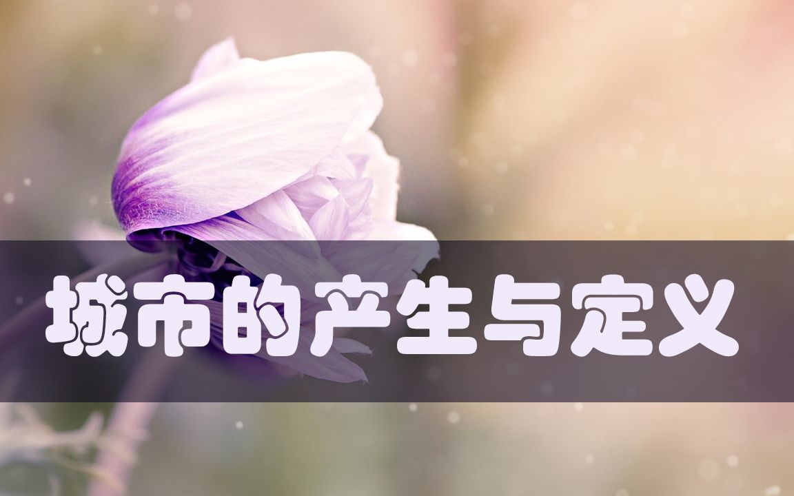 城市的产生与定义