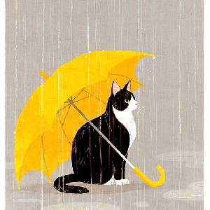 廣得猫工房 