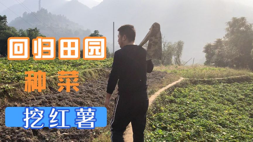 国家分配的工作下来了!我想我的产量一定比别人多ߥ�ߥ�ߥ