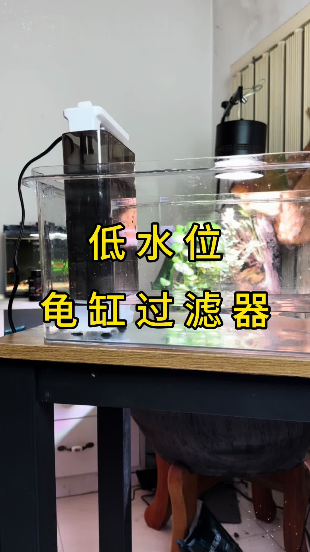 低水位龟缸过滤器,水浑水臭的可以安排一个 既有物理过滤,又有生化...