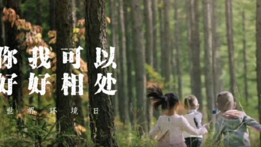 世界环境日:听人类伙伴的独白