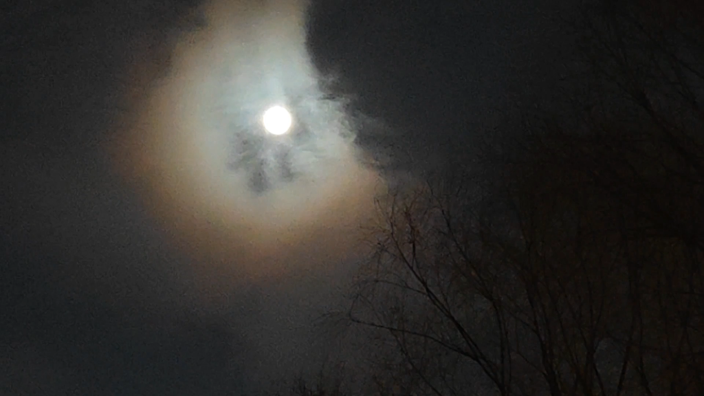 ...或将演变成为“持久战”。这将改变欧洲地区形势,也将改变世界秩序...