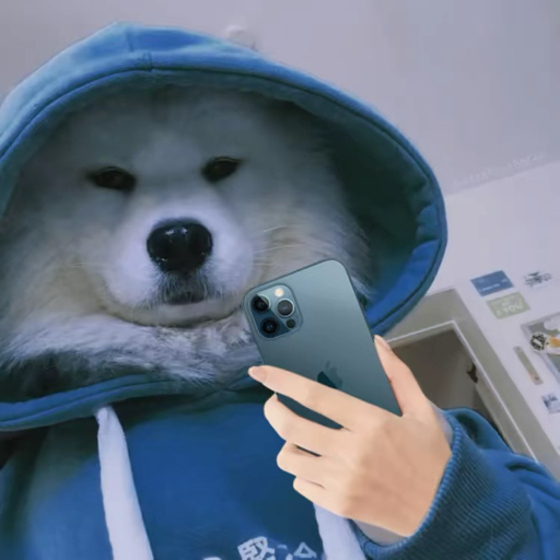 爱数码的冬词 
