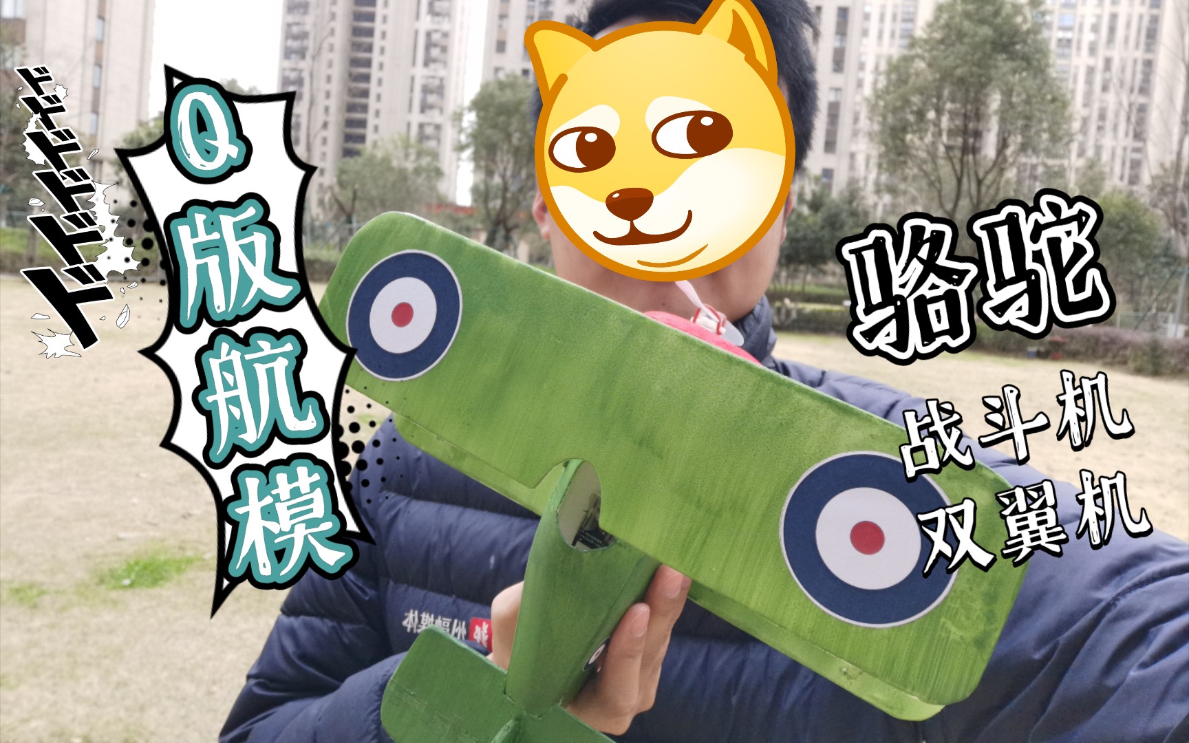 Q版航模 骆驼双翼机自由翱翔,胖子也能飞得很稳~