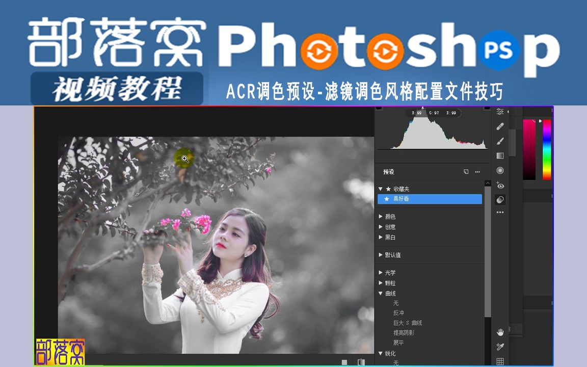 psACR调色预设视频:ACR滤镜调色风格配置文件技巧