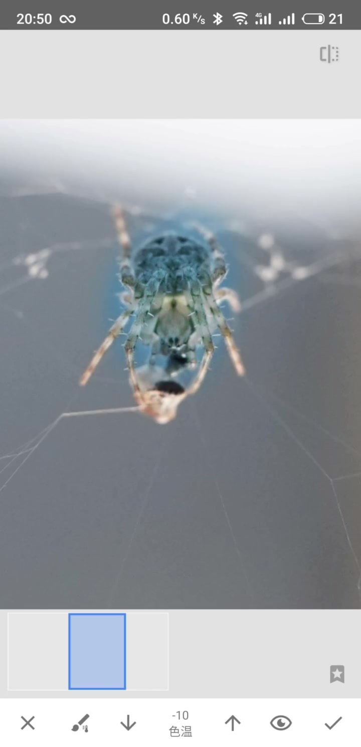 Snapseed学习第三讲,好用的小工具。修复工具,局部调整等.及画面...