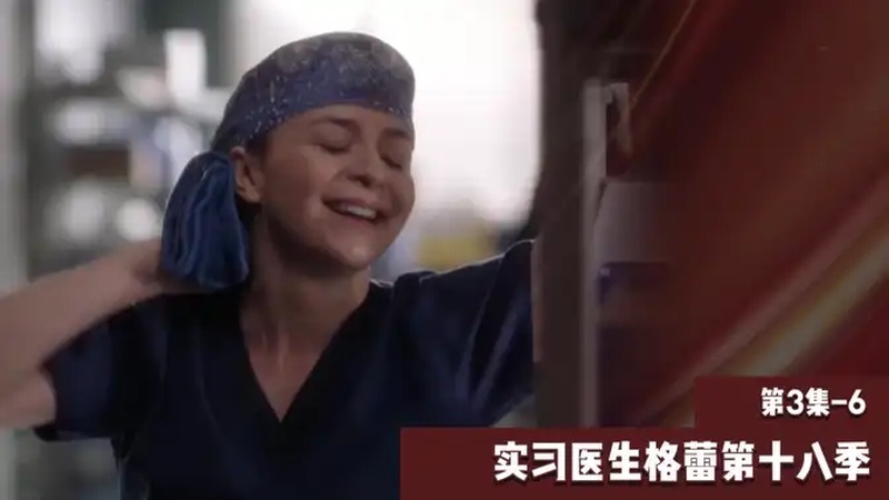 实习医生格蕾第十八季:野外手术室奇迹?(38)