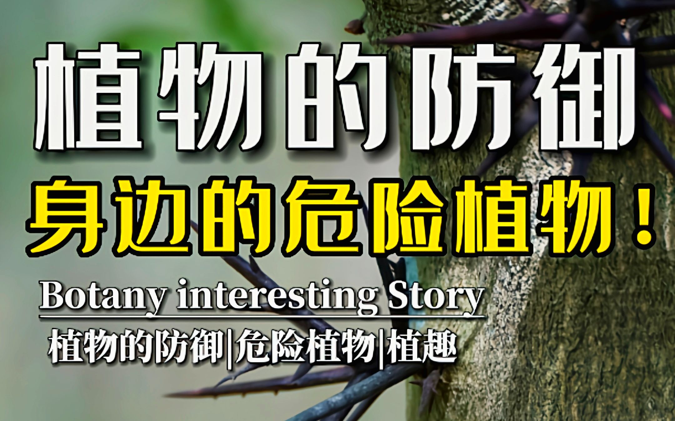 植物的防御,对我们的生活造成了什么影响?哪些有毒的植物,你认识多少?