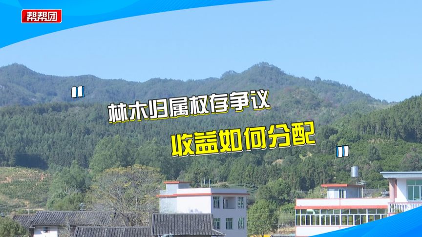 村民砍树遭制止,林木归属权存争议,村委回应:承包手续不合法