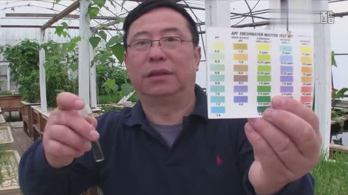 鱼菜共生分享课第九讲:水质各项指标检测