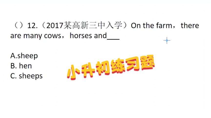 小升初练习题,名词的单复数