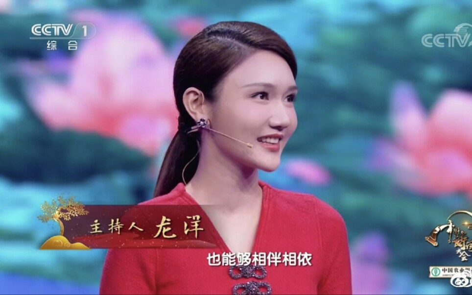 诗词大会开场词集锦|台词向|绝美诗词|作文可用|龙洋姐姐好可