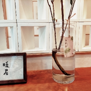 恰似那个少年 