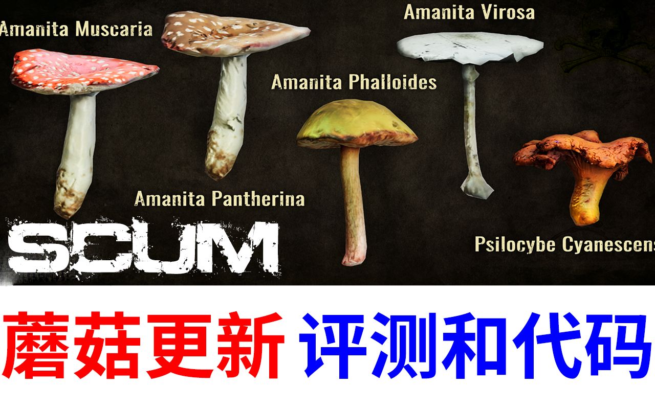 scum蘑菇更新0.7.150,新版蘑菇测评和代码,及其他。_哔哩哔哩bilibili_...