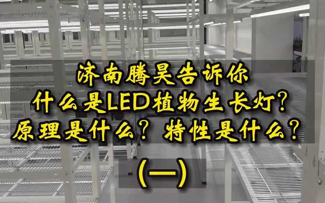 组培室照明 组培灯 植物生长灯 培养架 组培架 植物育苗架 组培室建设...