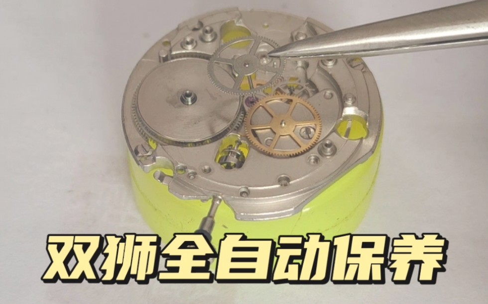 双狮全自动机械表保养
