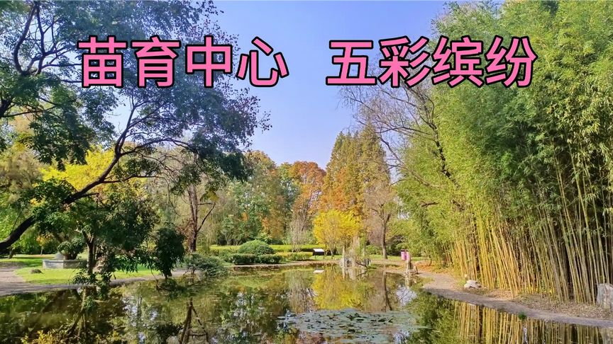 陕西省苗木繁育中心,一片林木茂盛,一派层林尽染,一处世外桃源