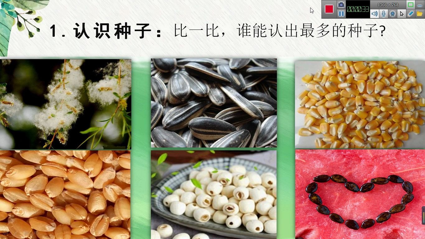 小学道德与法治二年级下册 4.《试种一粒籽》(一)李婕西安市凤景小学