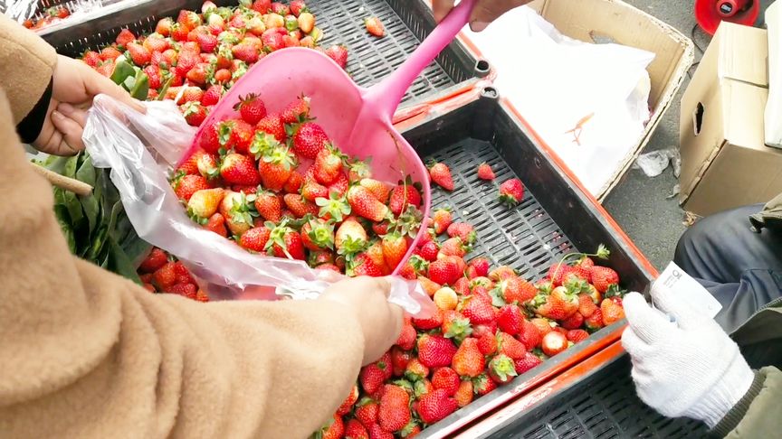 农村小伙去赶集买了点草莓,7块钱一斤,又红又甜,价格真实惠!