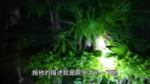 漏电跳闸后,要按复位按键才能推的上开关,用电常识