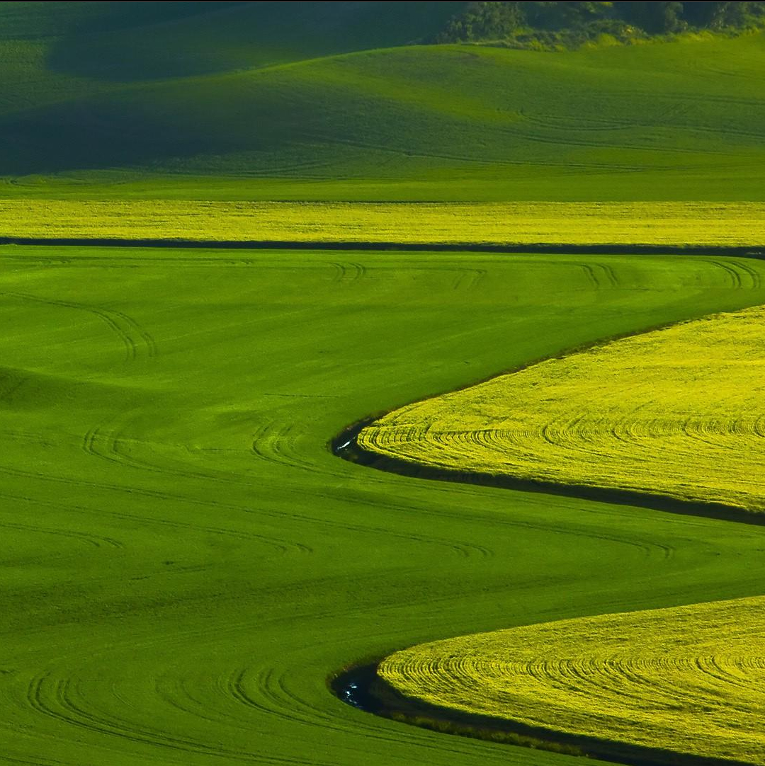 油纸伞的传说__ 