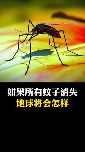 登革热等蚊子传播的疾病将大大减少