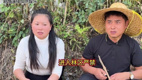 保护森林资源十分重要