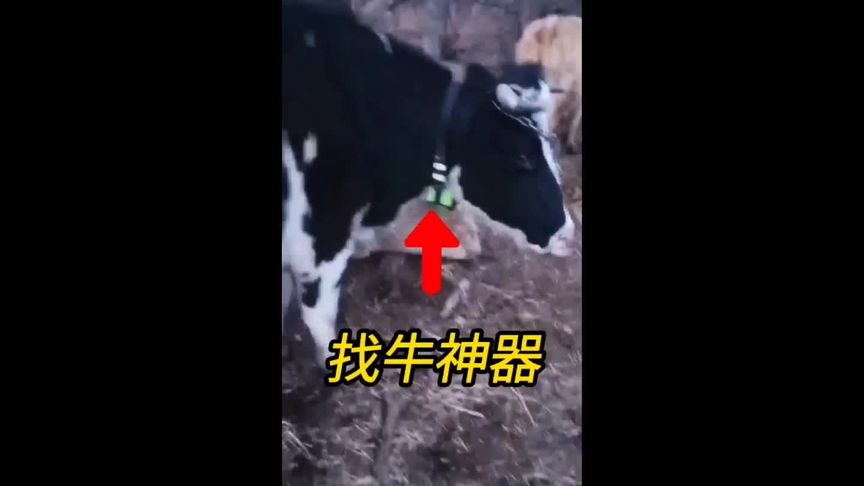 放牧神器, GPS牛羊马定位器 通过手机远程跟踪定位器查找