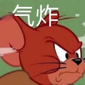 吾灰柴狐是喵 
