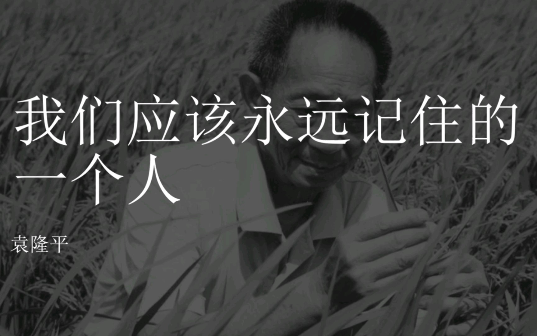 袁隆平爷爷和杂交水稻的一生