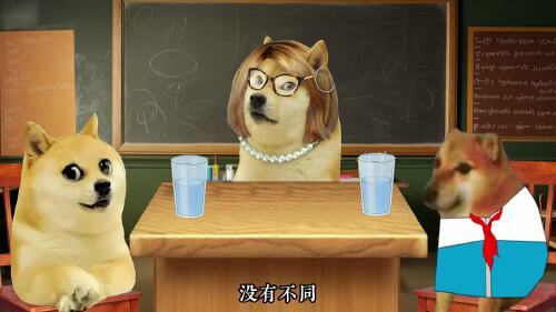 1分钟教你轻松区分二氧化碳和二氧化硫!实验对比太明显了