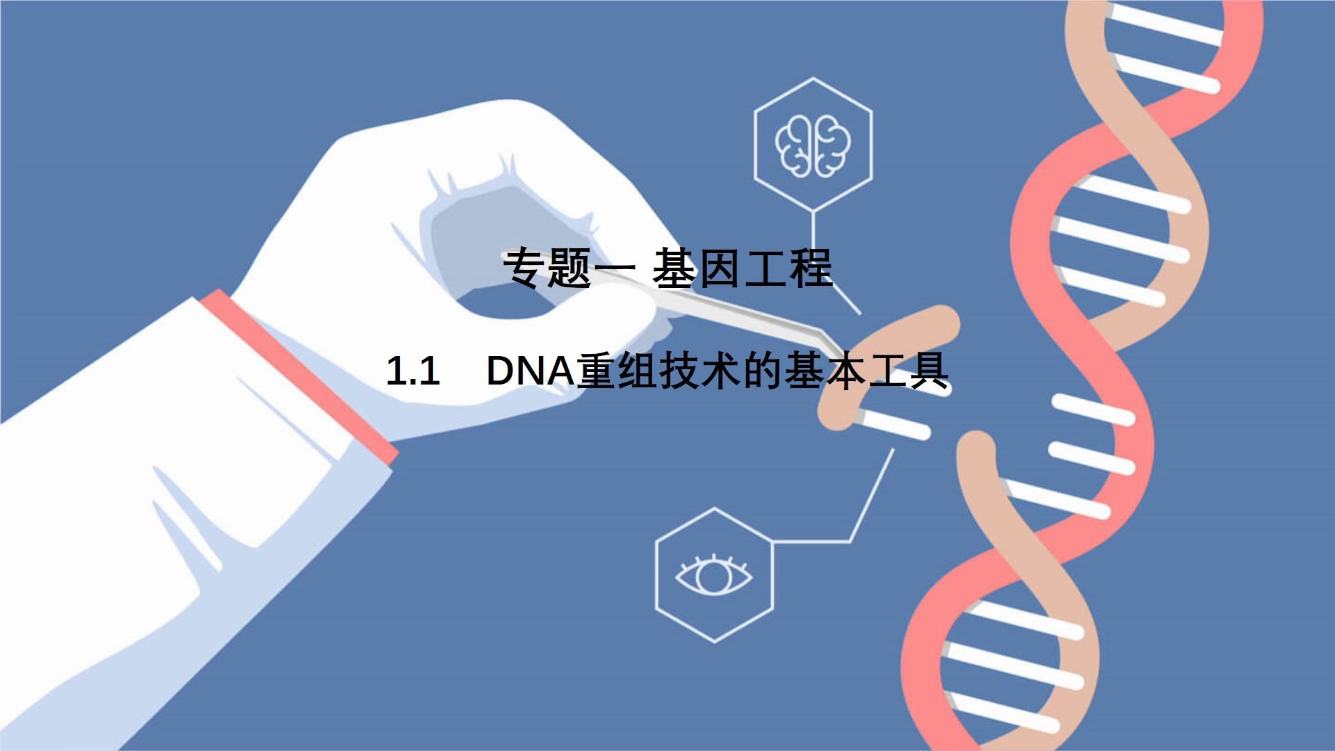 基因工程——DNA重组技术的基本工具
