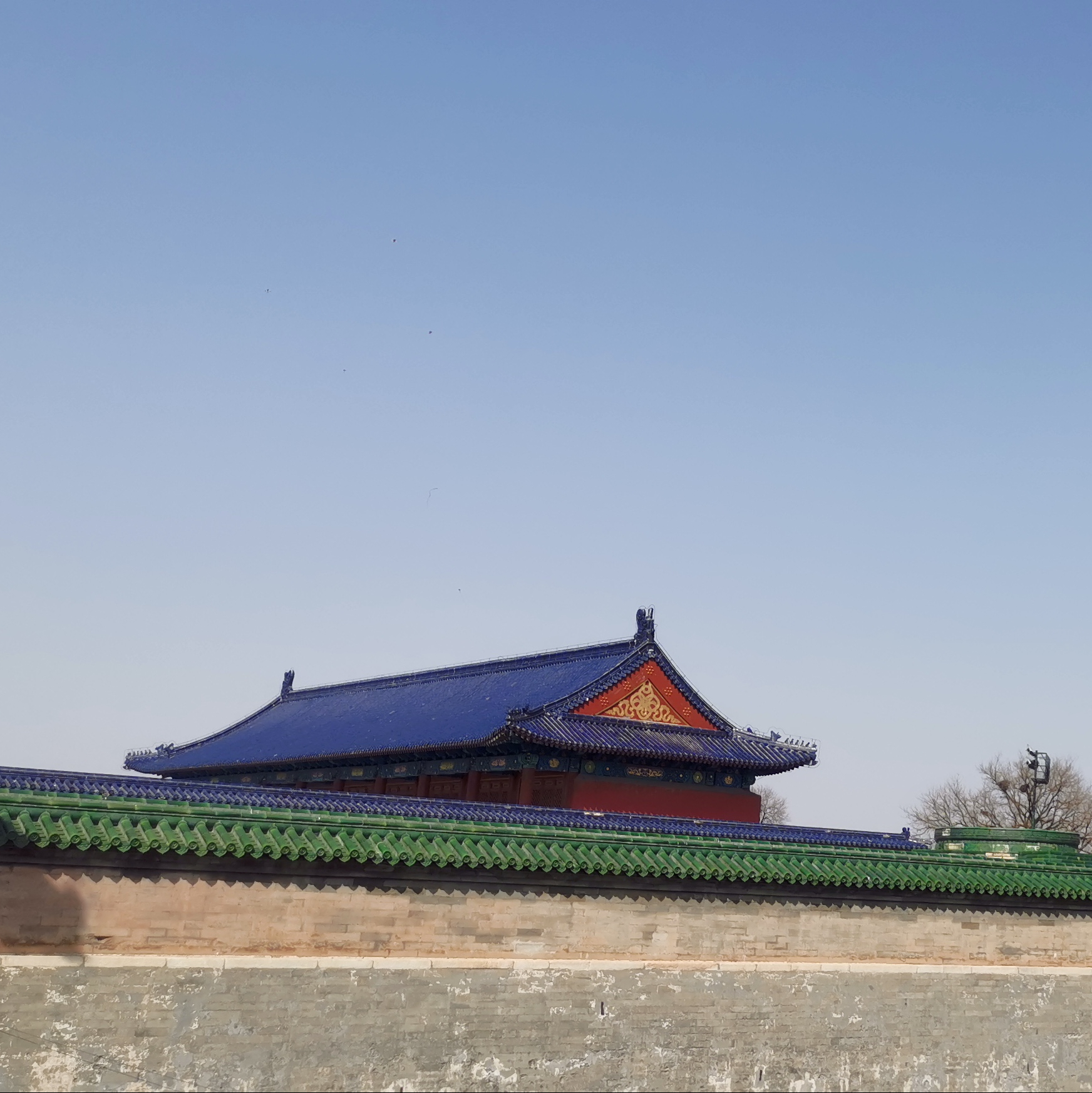 凉老师自言自语 