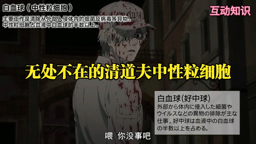 用动画的方式介绍人体中细胞的工作方式6自由游走的中性粒细胞