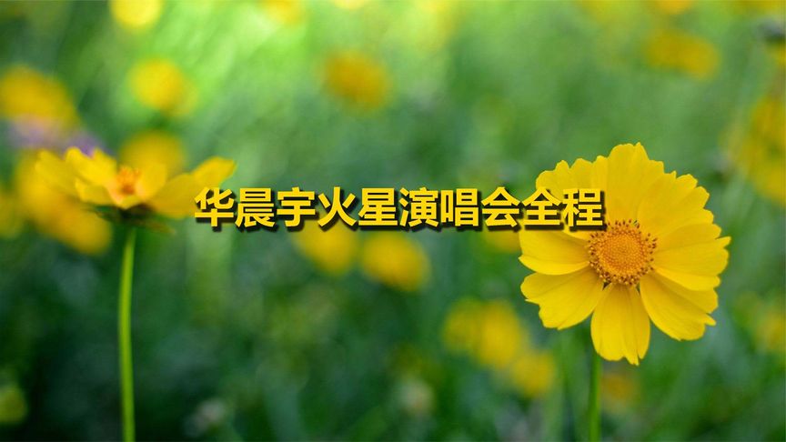 华晨宇火星演唱会全程【转载】