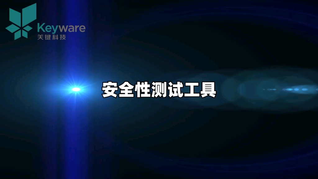 软件测试安全性测试工具