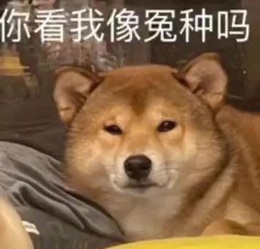 高中毕业证在家里死活找不到了,我真的要崩溃了,拜托B站的各位能人...