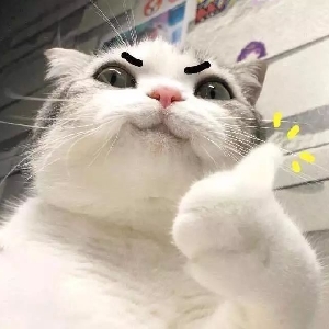 333战神 