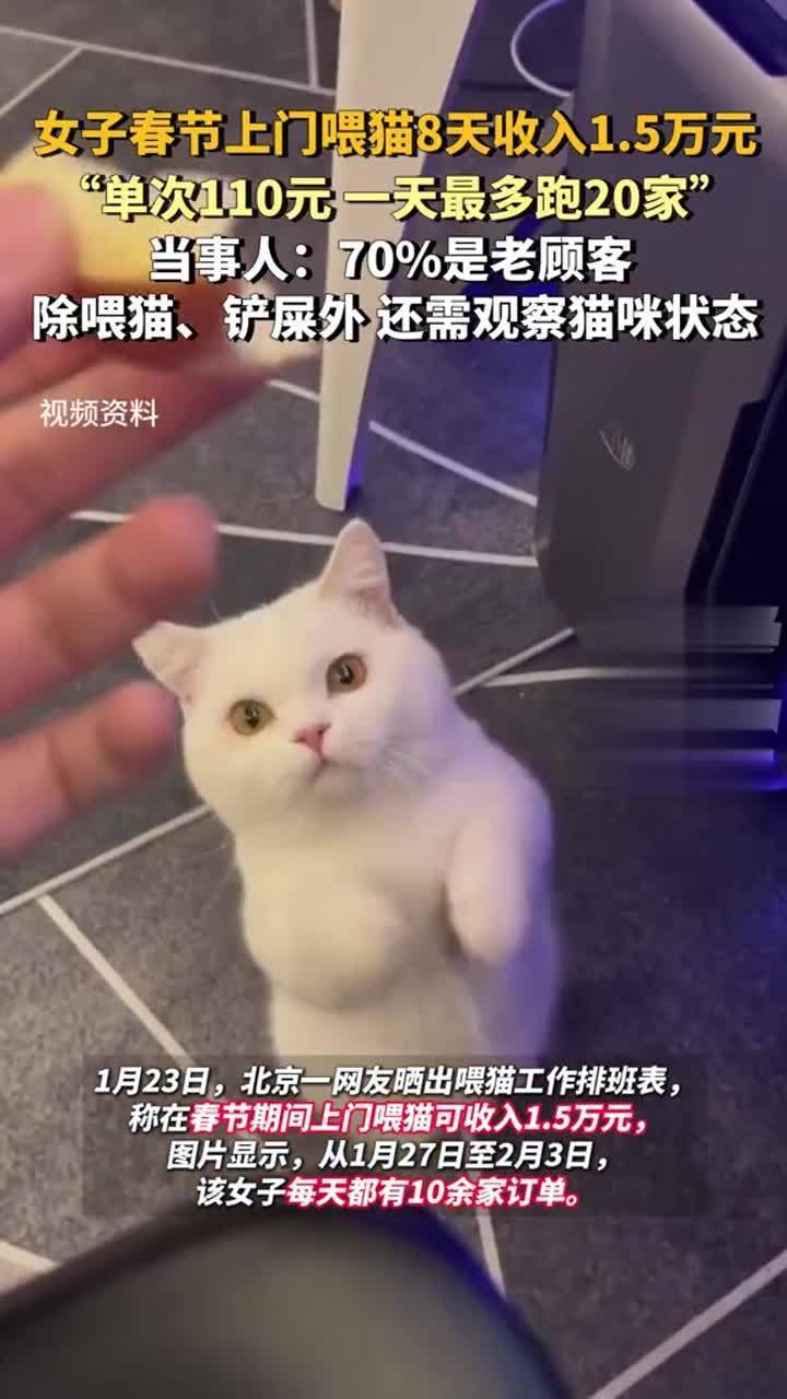 女子春节上门喂猫8天收入1.5万元:一天最多跑20家